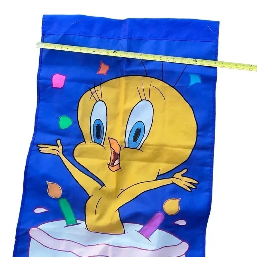 Warner Bros. | Accents | Nylon Looney Tunes Tweety Birthday ...